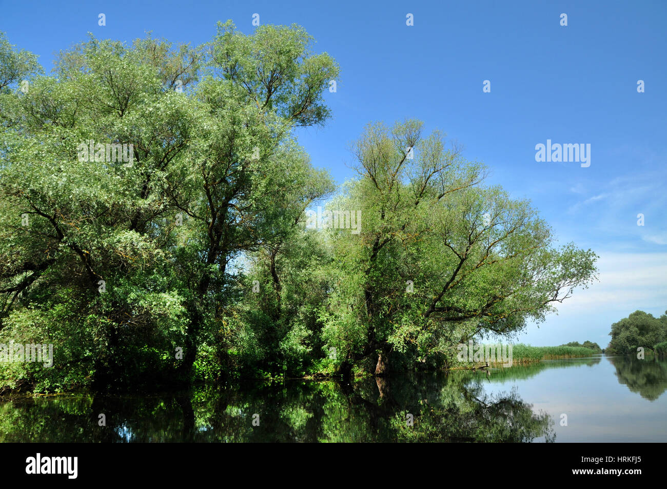 Water channel, river in Danube delta, Romania Stock Photo - Alamy