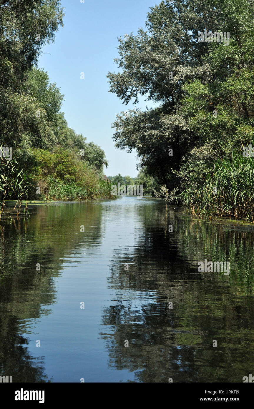 Water channel, river in Danube delta, Romania Stock Photo - Alamy