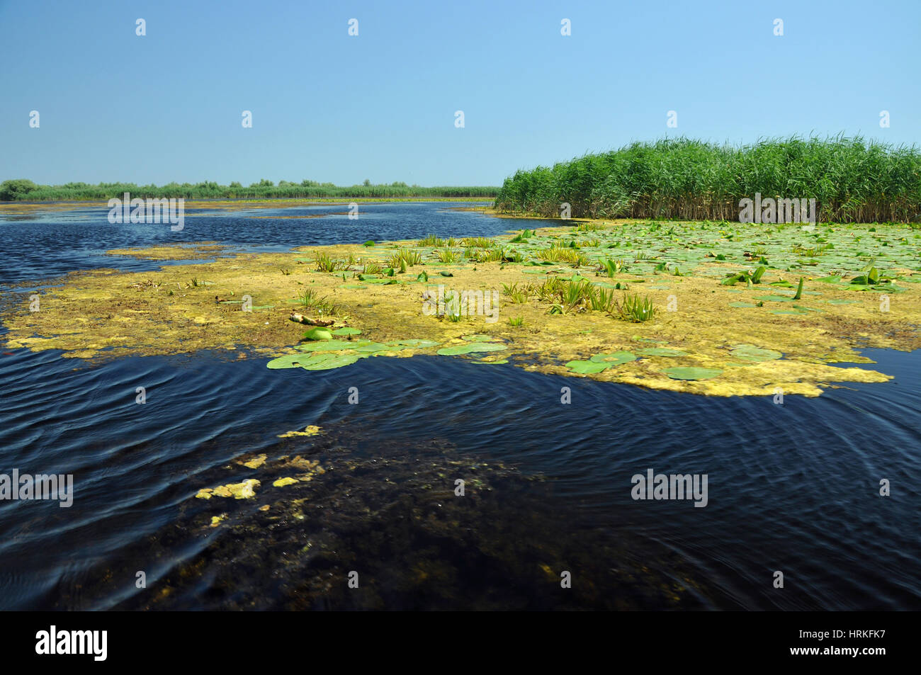 Beautiful lake in Danube delta, Romania Stock Photo - Alamy