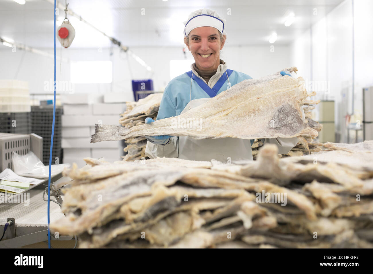 Worker preparing the traditional salted and dried cod at Riberalves a ...