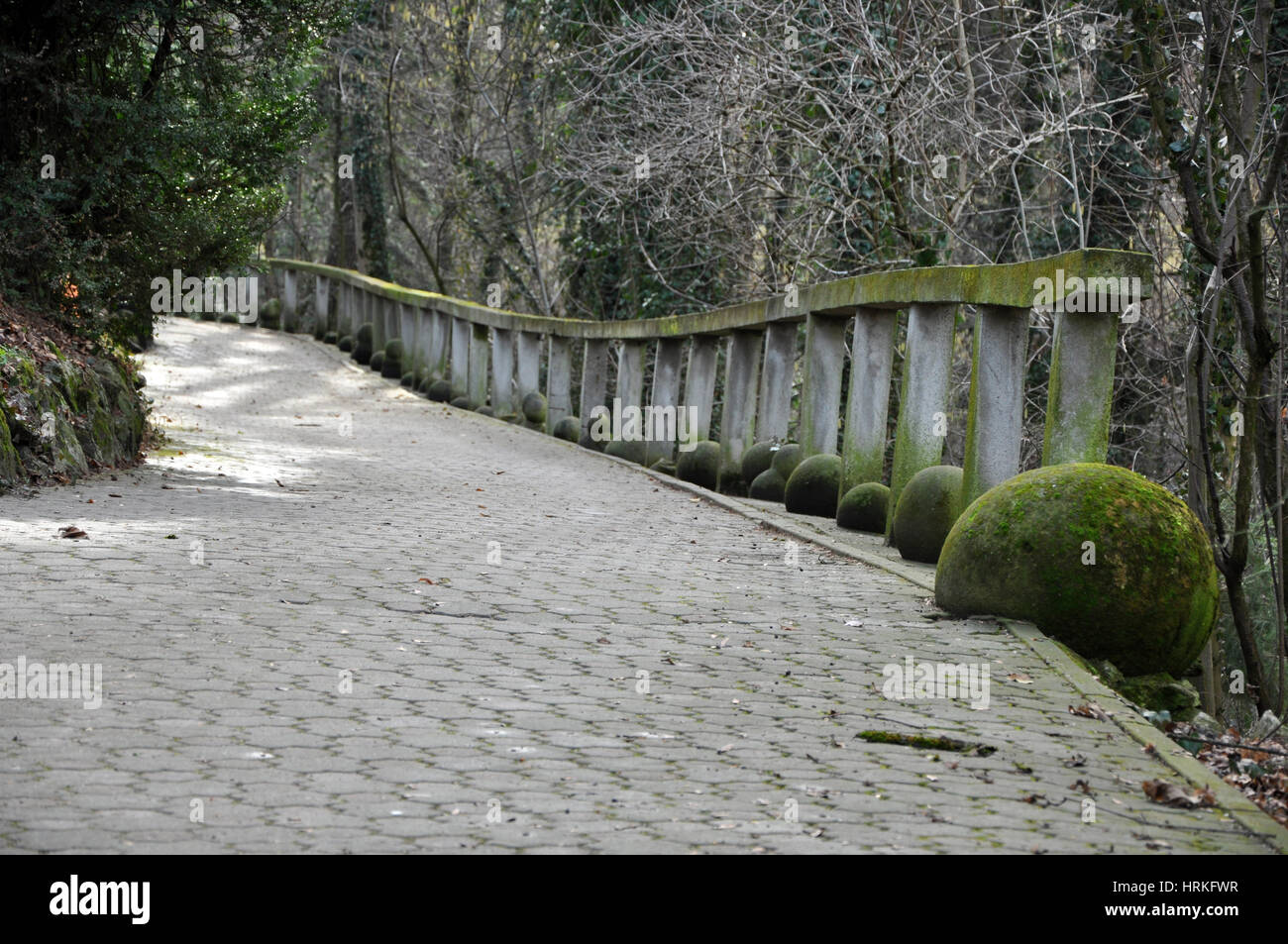 Parkland walk perspective hi-res stock photography and images - Alamy