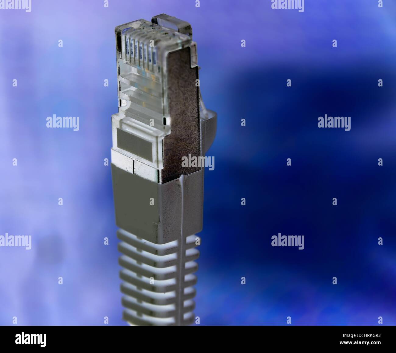 close-up of a RJ45 connector to connect computers to the Internet and ...