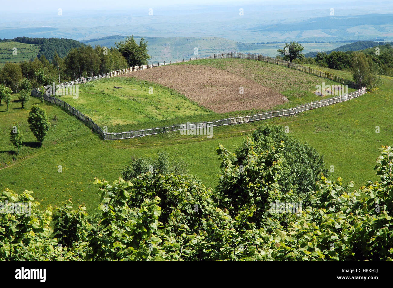 Arable agriculture field in spring Stock Photo - Alamy