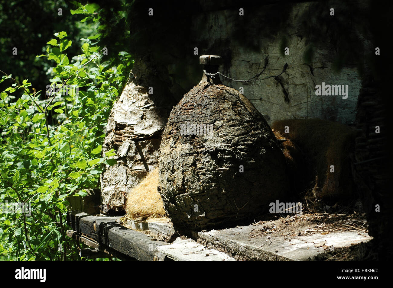 Ancient, vintage straw bee hive Stock Photo - Alamy