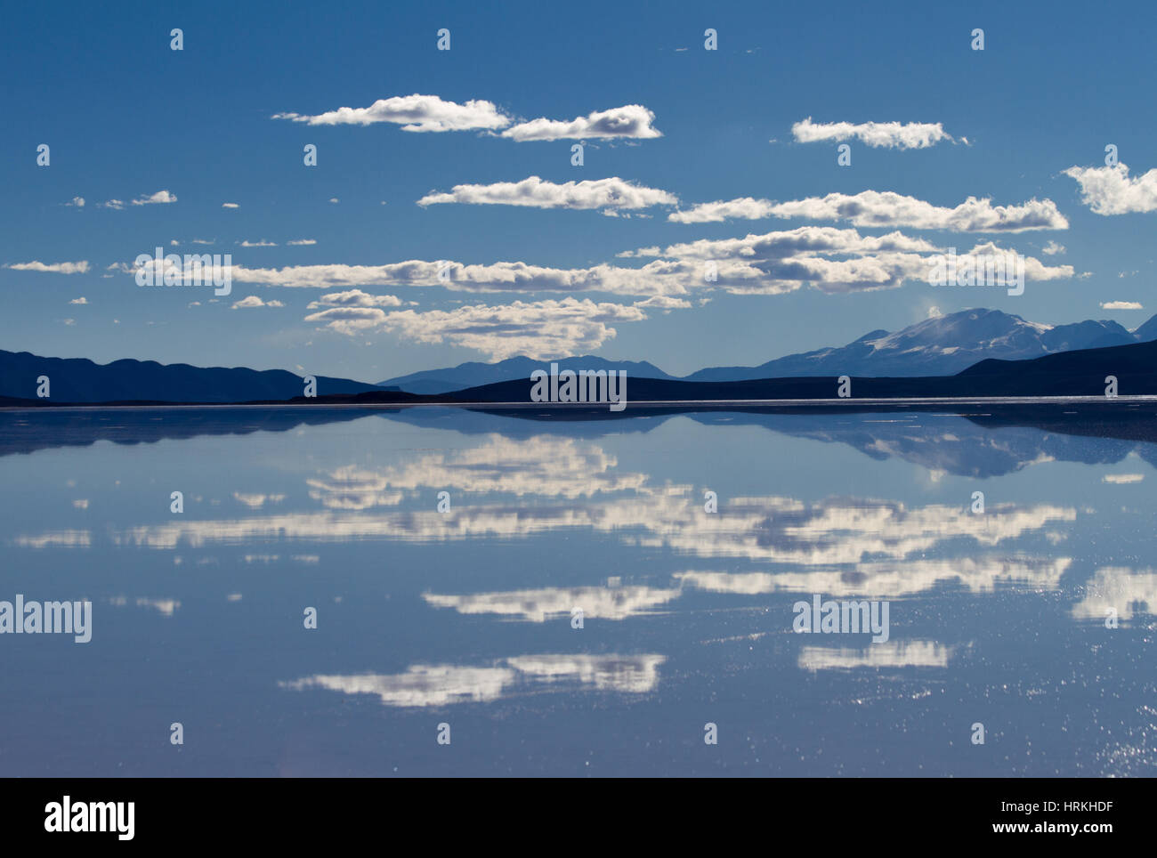 Lago Coipasa or Salar de Coipasa is a lake in Atahuallpa Province ...