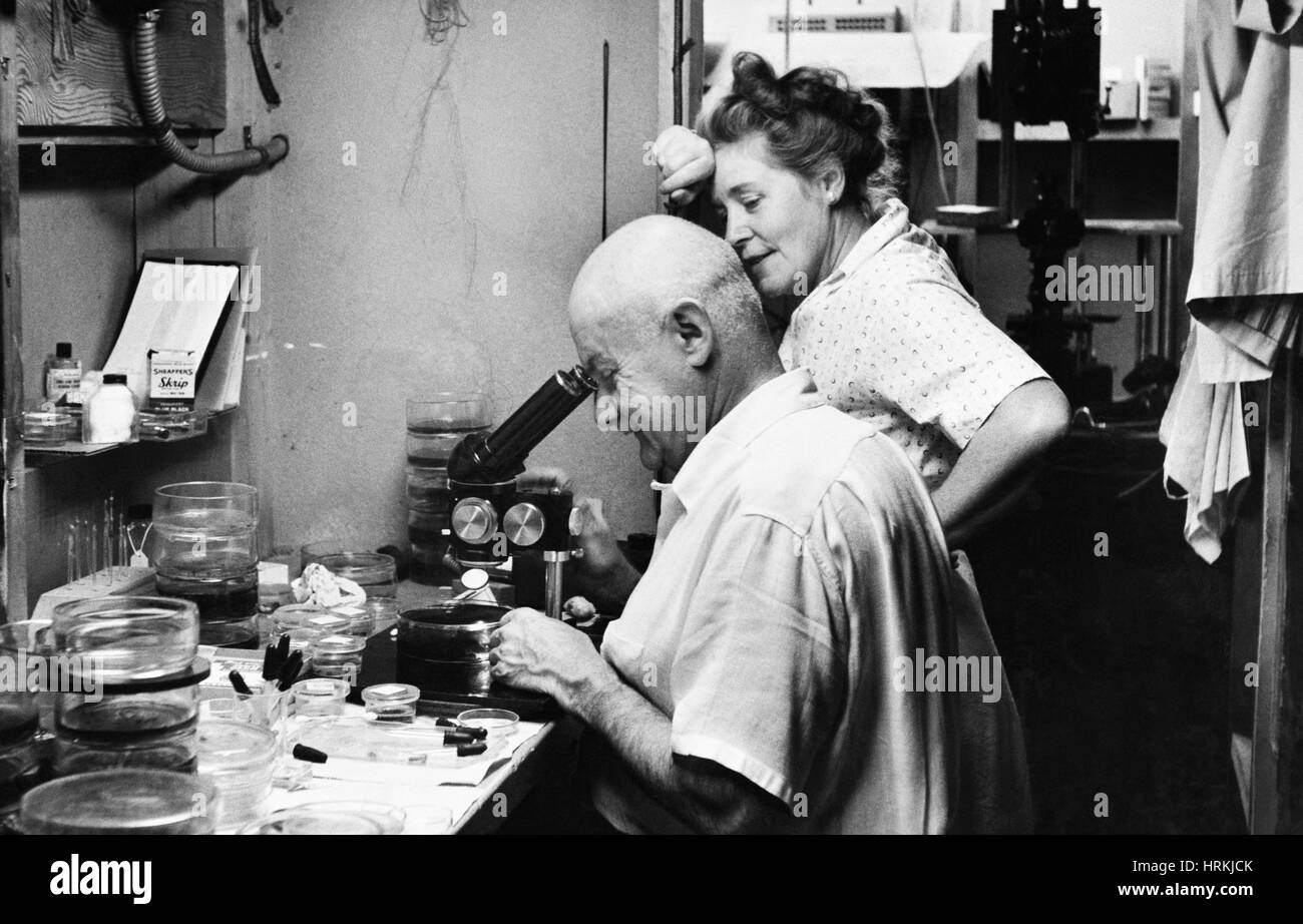 Russian woman 1950s hi-res stock photography and images - Alamy