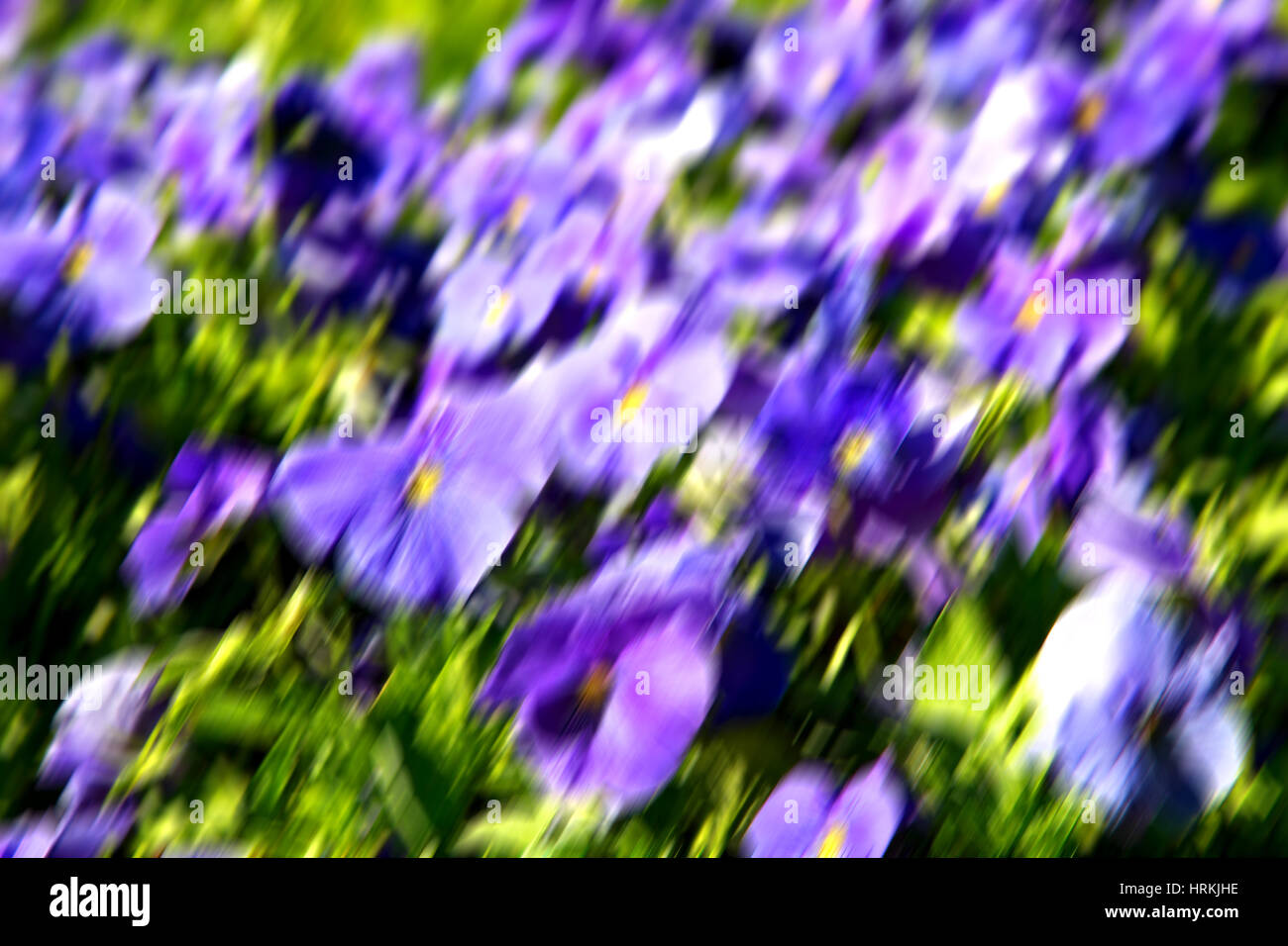 blur in the spring colors flowers and garden Stock Photo - Alamy