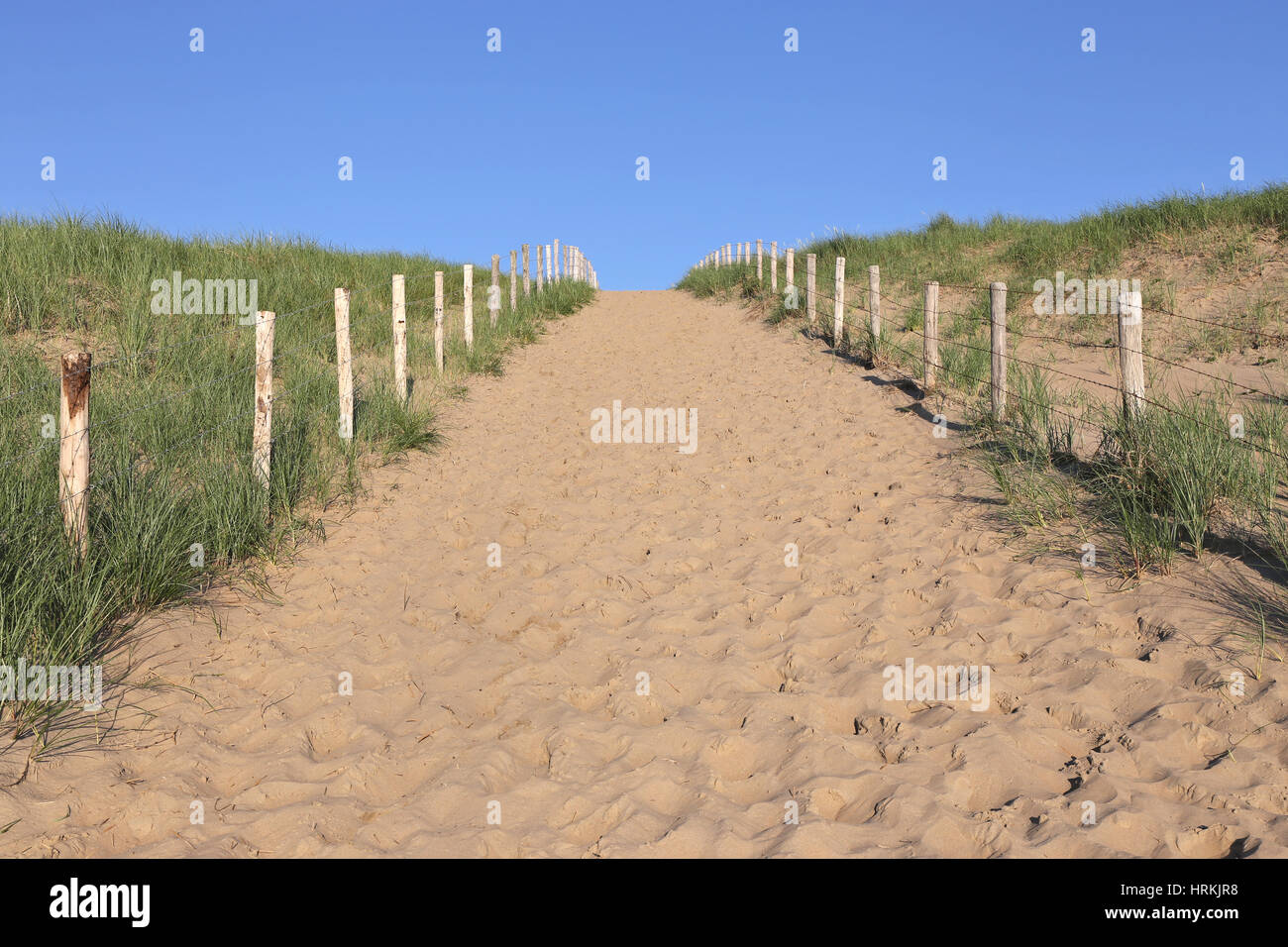 sandy path through the dunes Stock Photo - Alamy