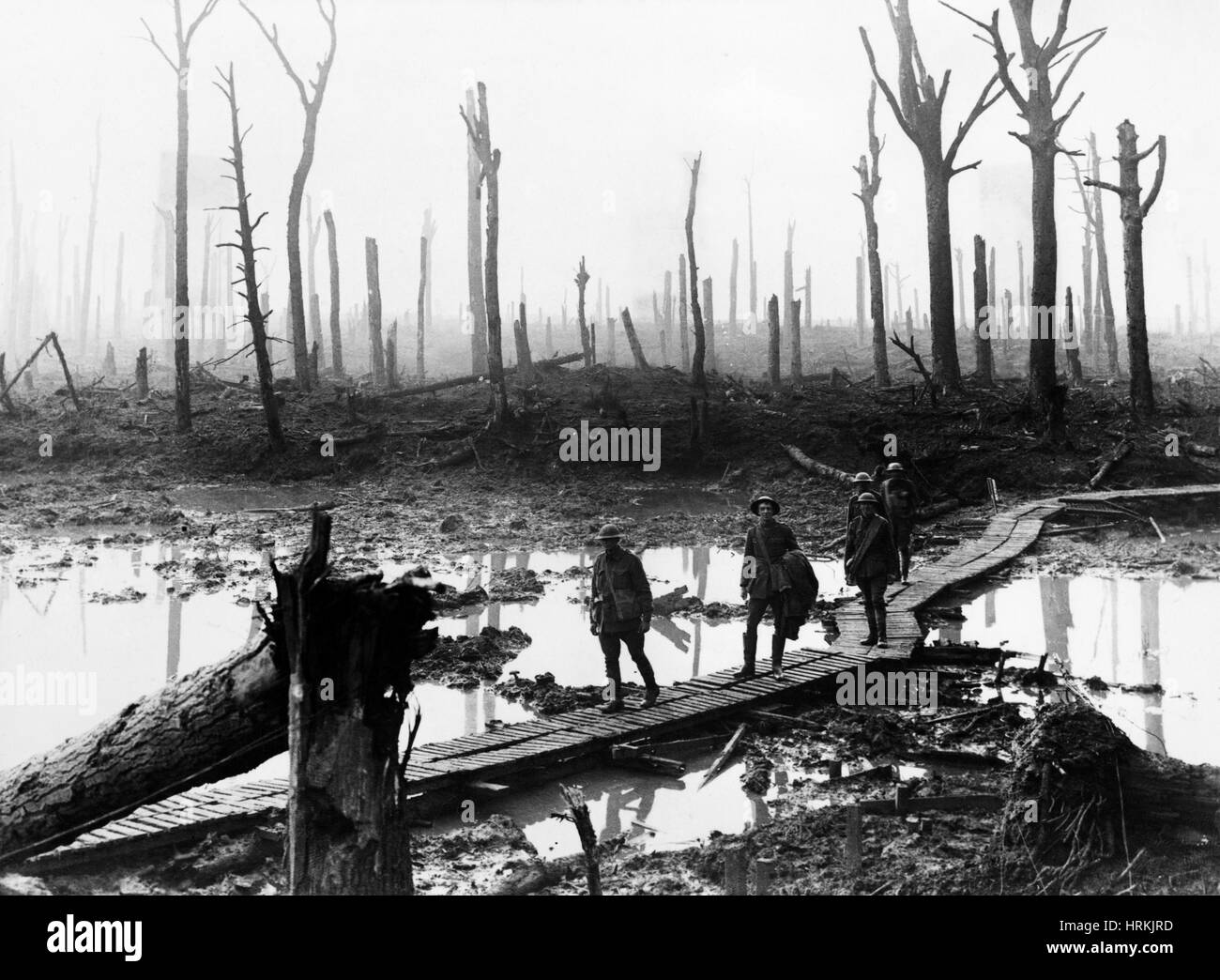WWI, Battle of Passchendaele, 1917 Stock Photo - Alamy