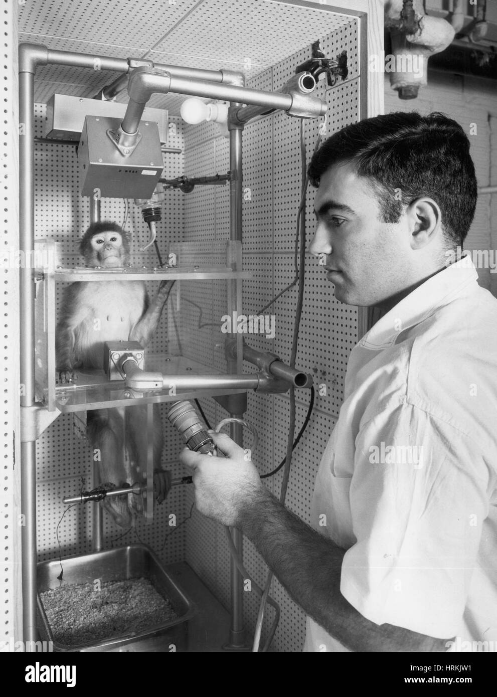 Animal Testing, Visual Stimulation Box Stock Photo - Alamy