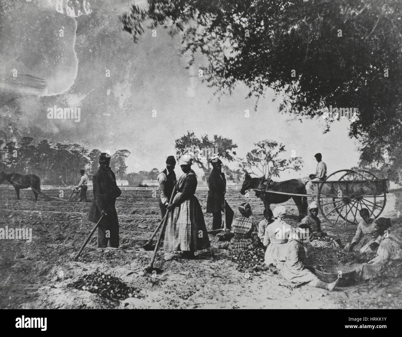 Farm workers 19th century hi-res stock photography and images - Alamy