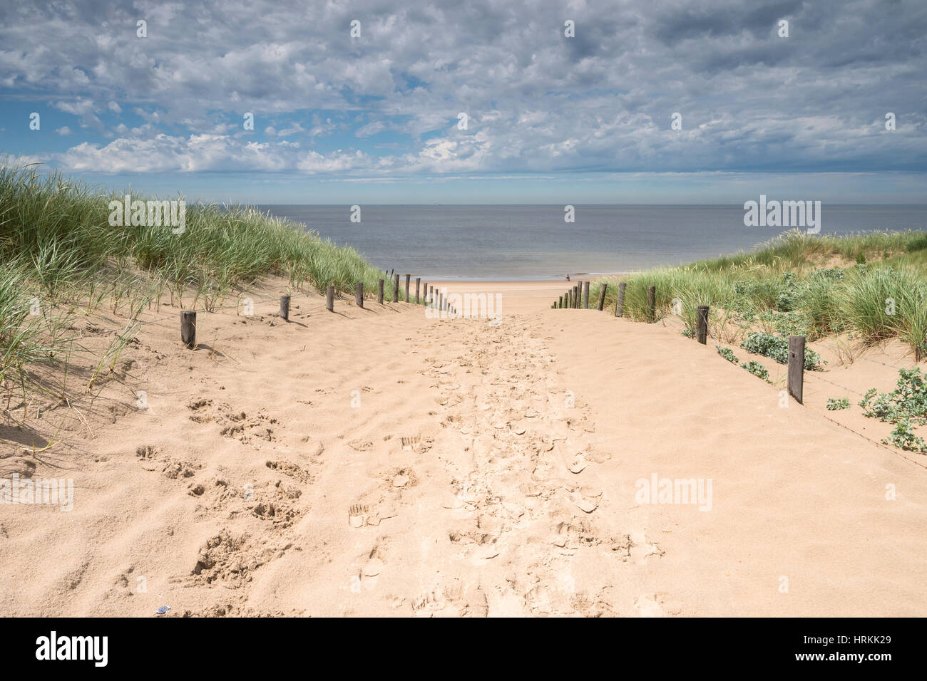 sandy path through the dunes Stock Photo - Alamy