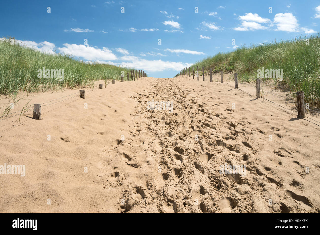 sandy path through the dunes Stock Photo - Alamy