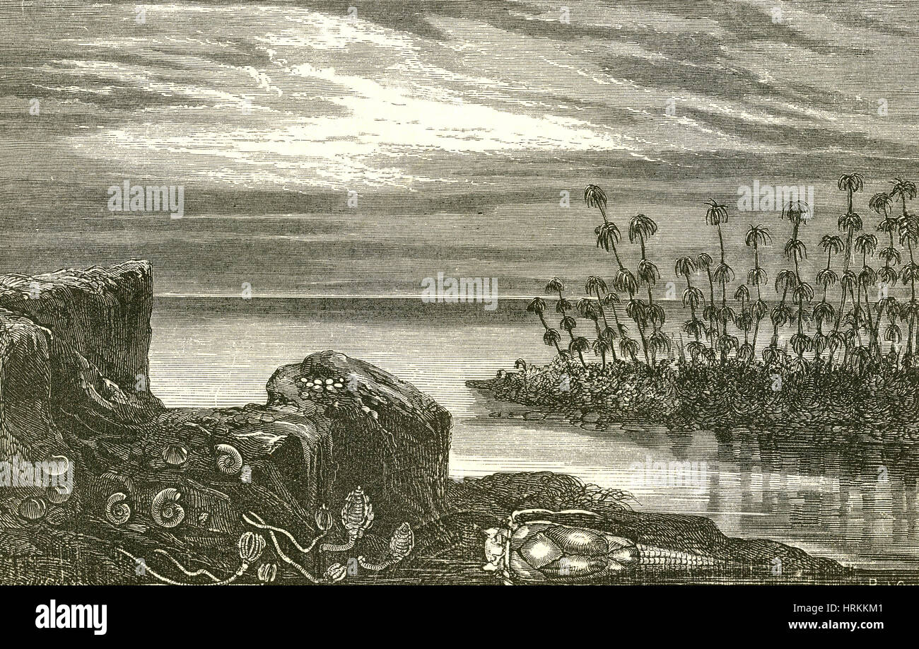 Devonian Period Stock Photo - Alamy