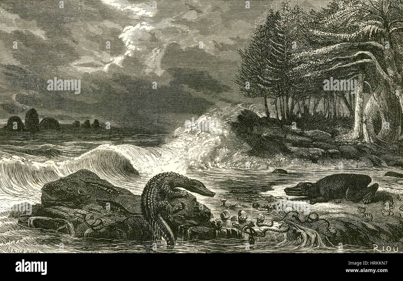 Early triassic hi-res stock photography and images - Alamy