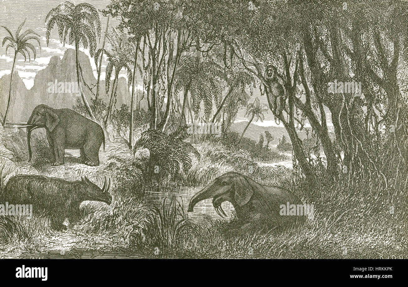 Prehistoric, Miocene Landscape Stock Photo - Alamy