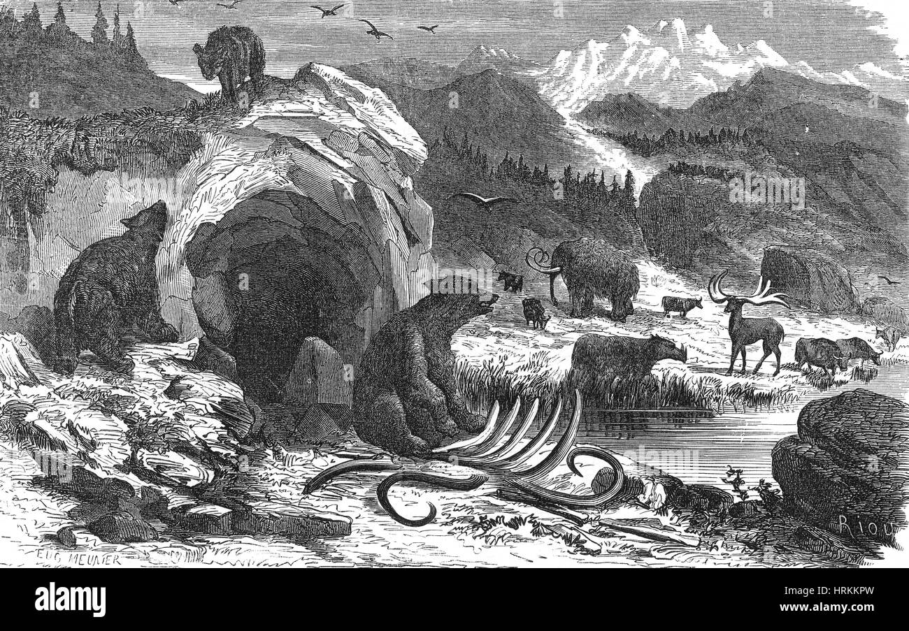 Pleistocene Europe Stock Photo, Royalty Free Image: 135042289 - Alamy