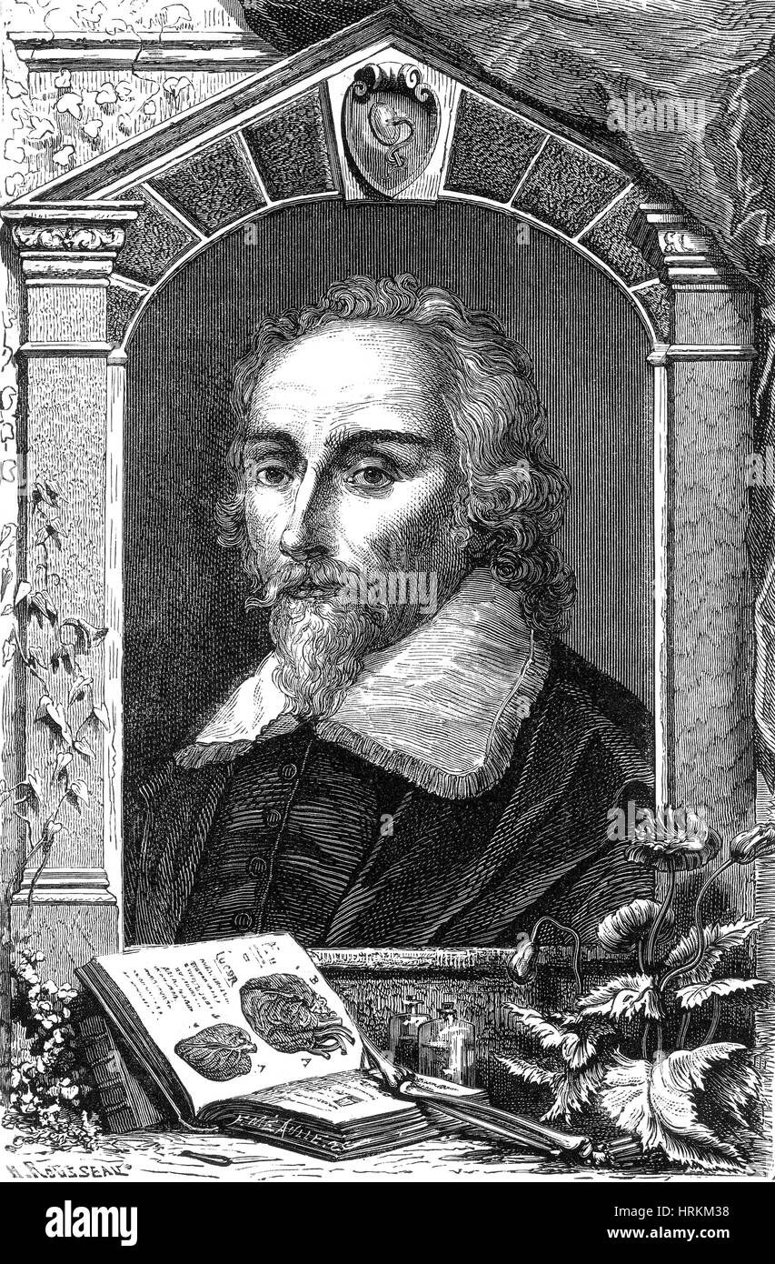 William harvey heart hi-res stock photography and images - Alamy