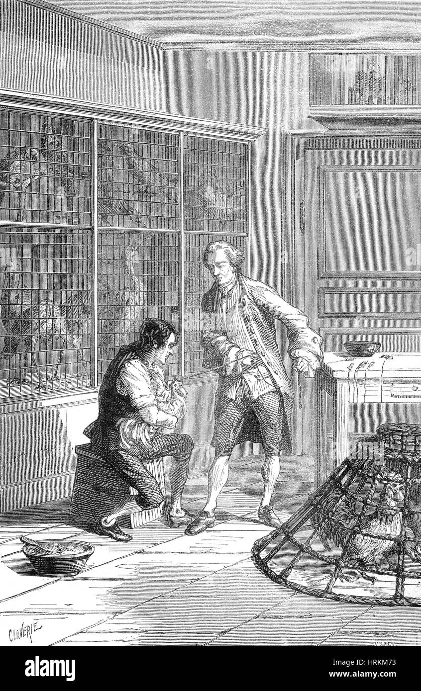 Spallanzani Digestion Experiment, 18th Century Stock Photo - Alamy