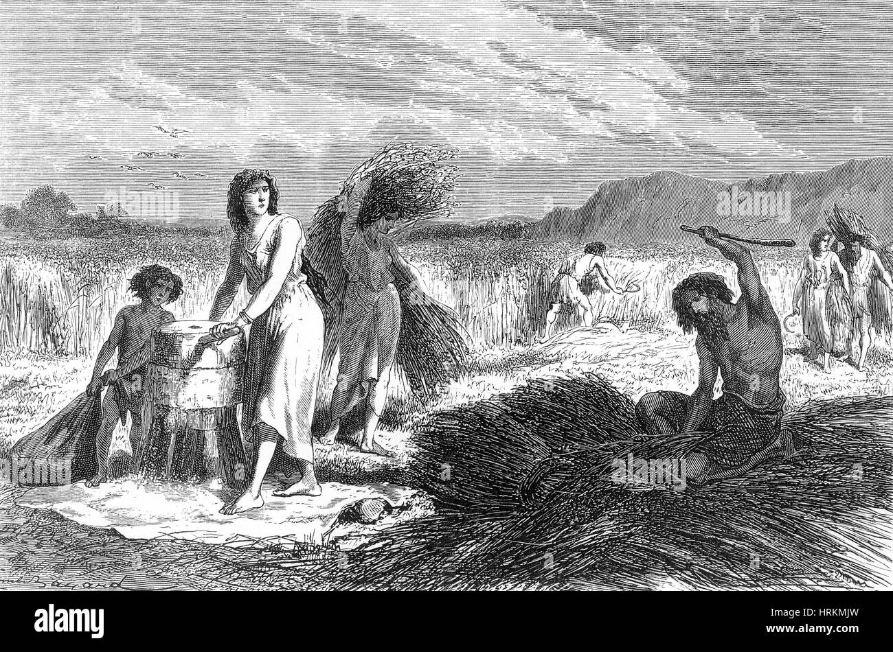 Primitive agriculture drawing Black and White Stock Photos & Images - Alamy