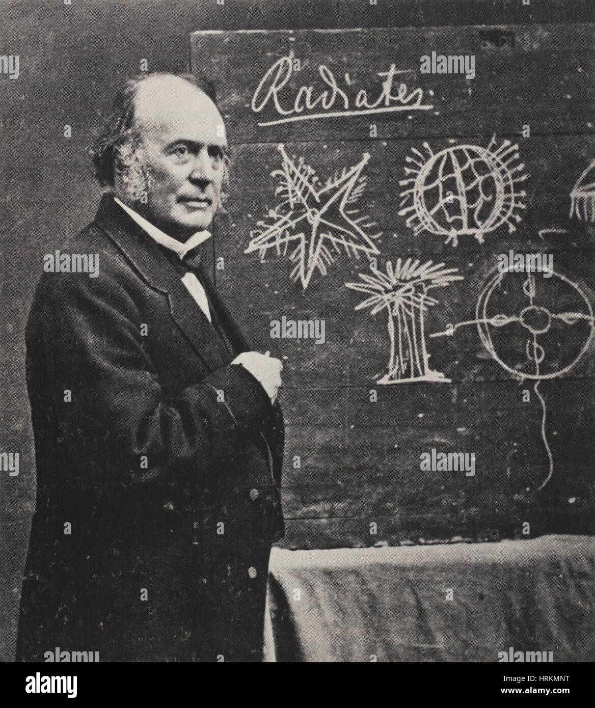 Louis agassiz hi-res stock photography and images - Alamy