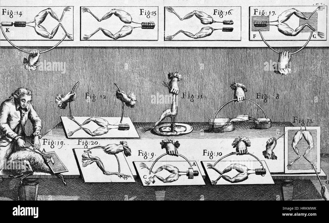 Luigi galvani experiment hi-res stock photography and images - Alamy