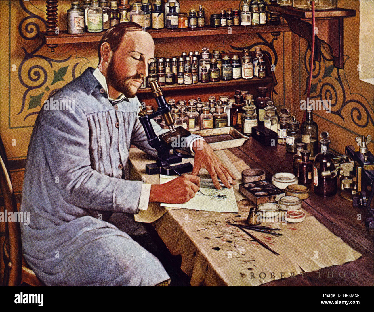 Santiago ramon y cajal neuron hi-res stock photography and images - Alamy