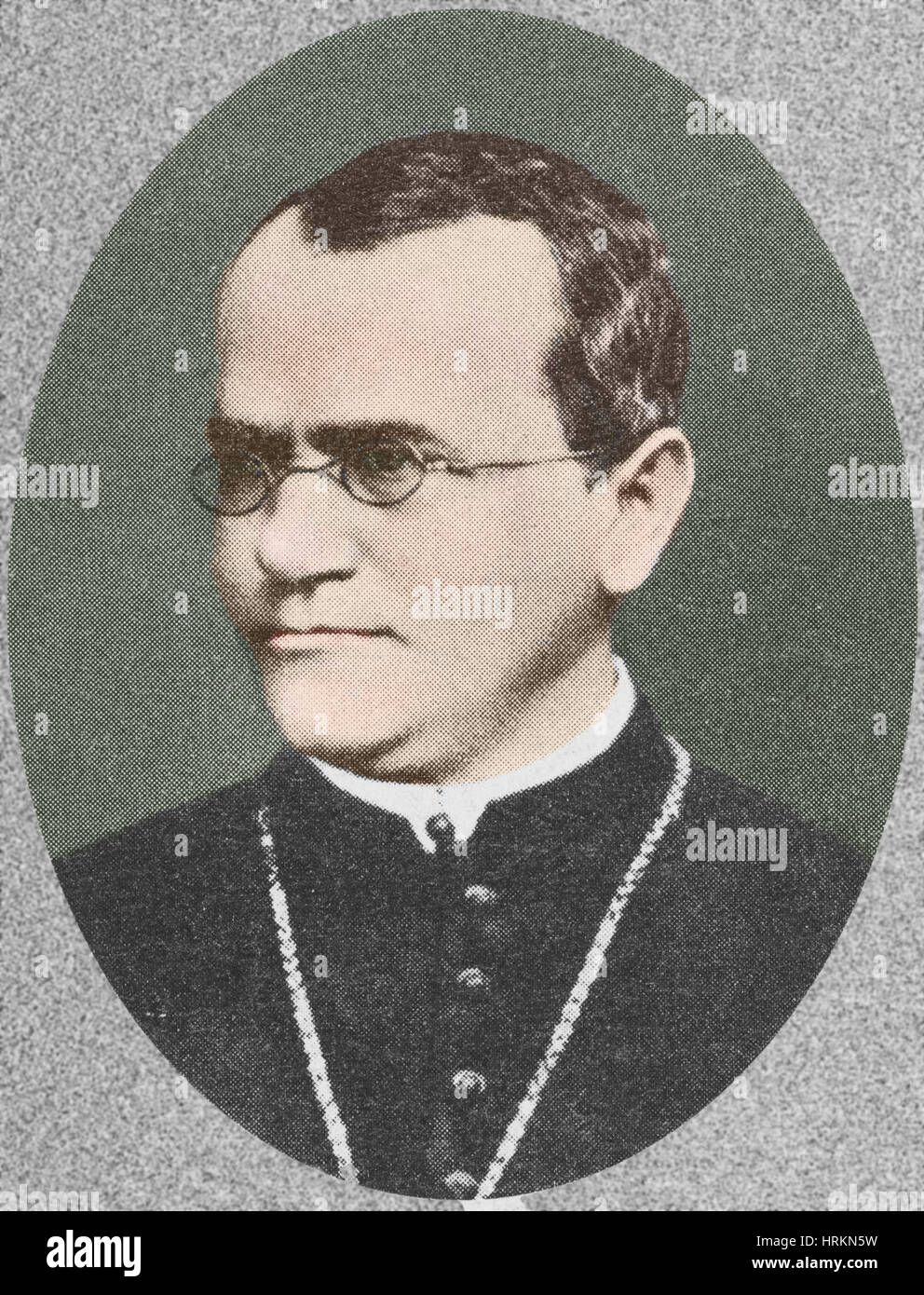 Gregor johann mendel hi-res stock photography and images - Alamy