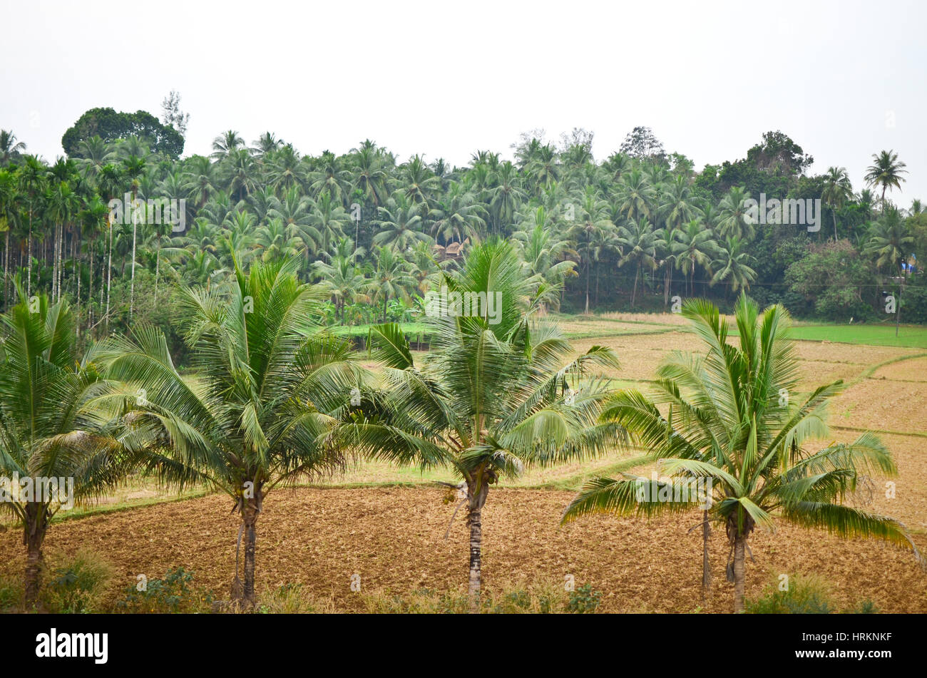 Beautiful landscape of rural India. Scene captured during travel by ...