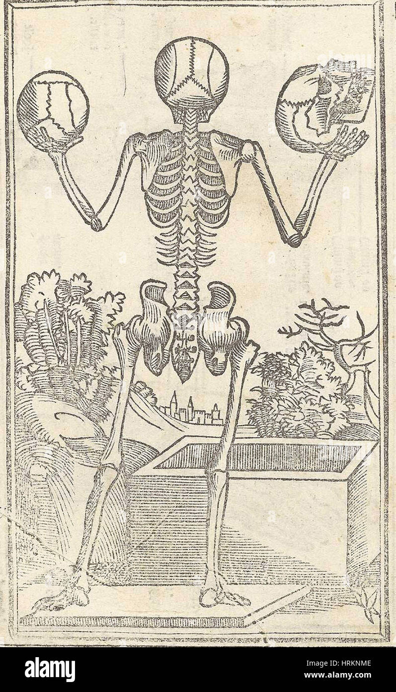 Skeleton illustration historical hi-res stock photography and images ...