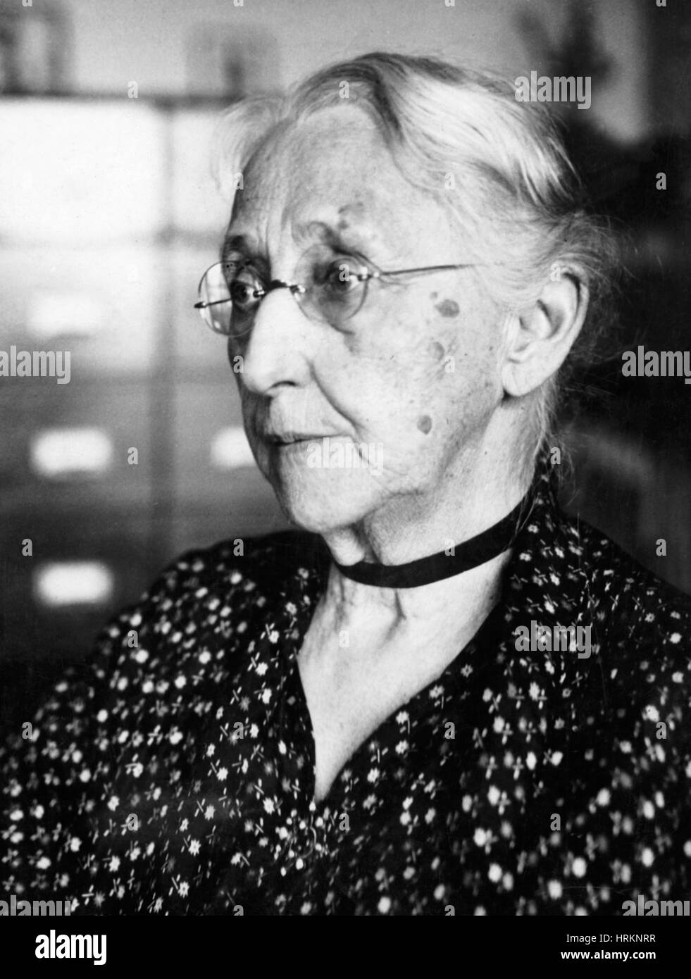 Lillien Jane Martin, American Psychologist Stock Photo - Alamy