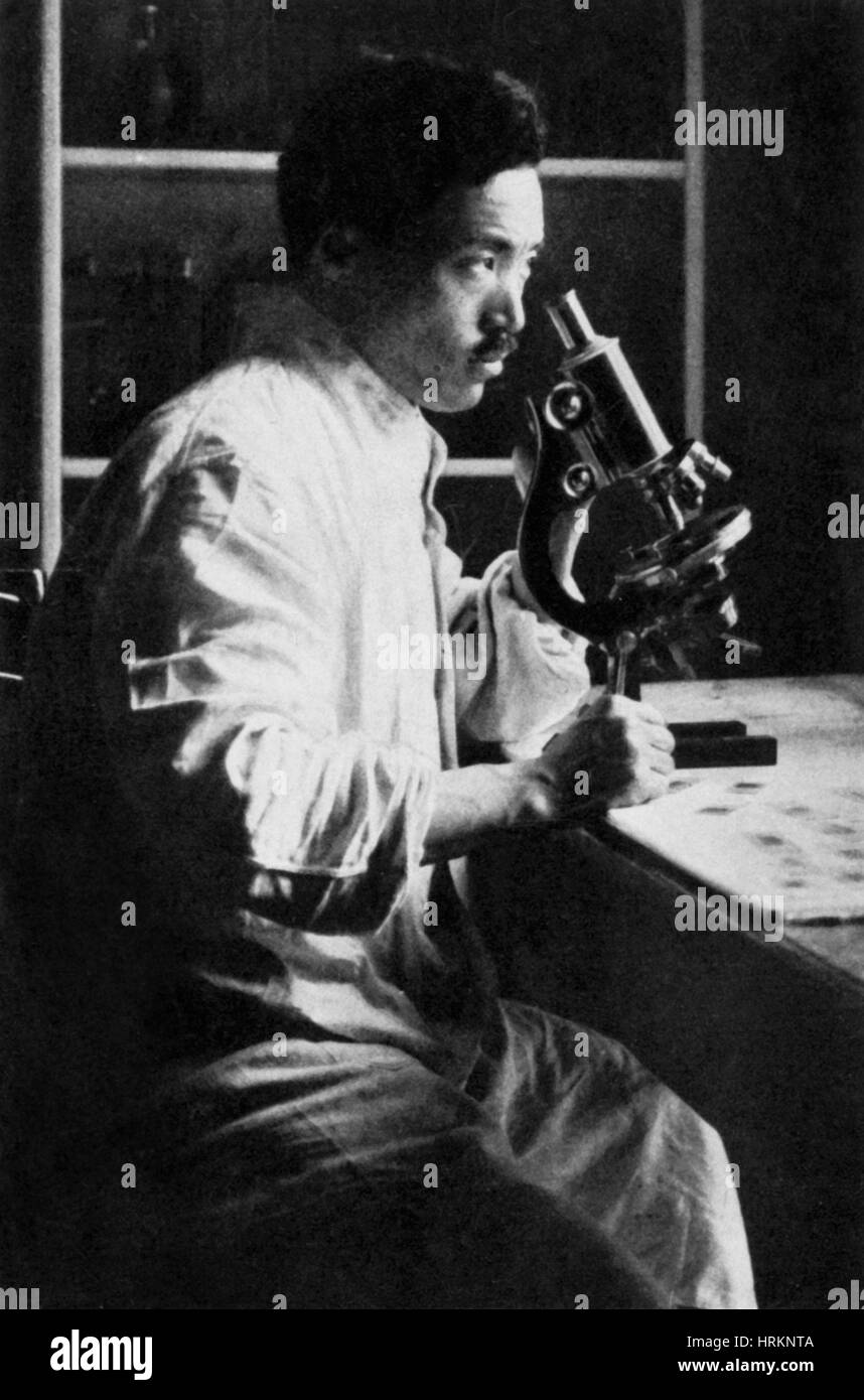 Hideyo Noguchi, Japanese Bacteriologist Stock Photo - Alamy
