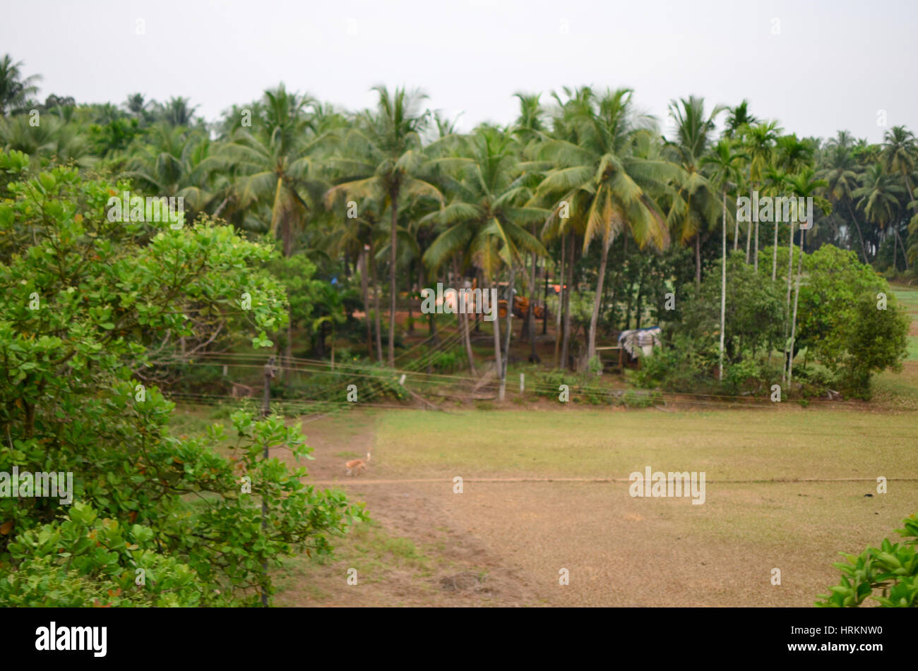 Beautiful landscape of rural India. Scene captured during travel by ...