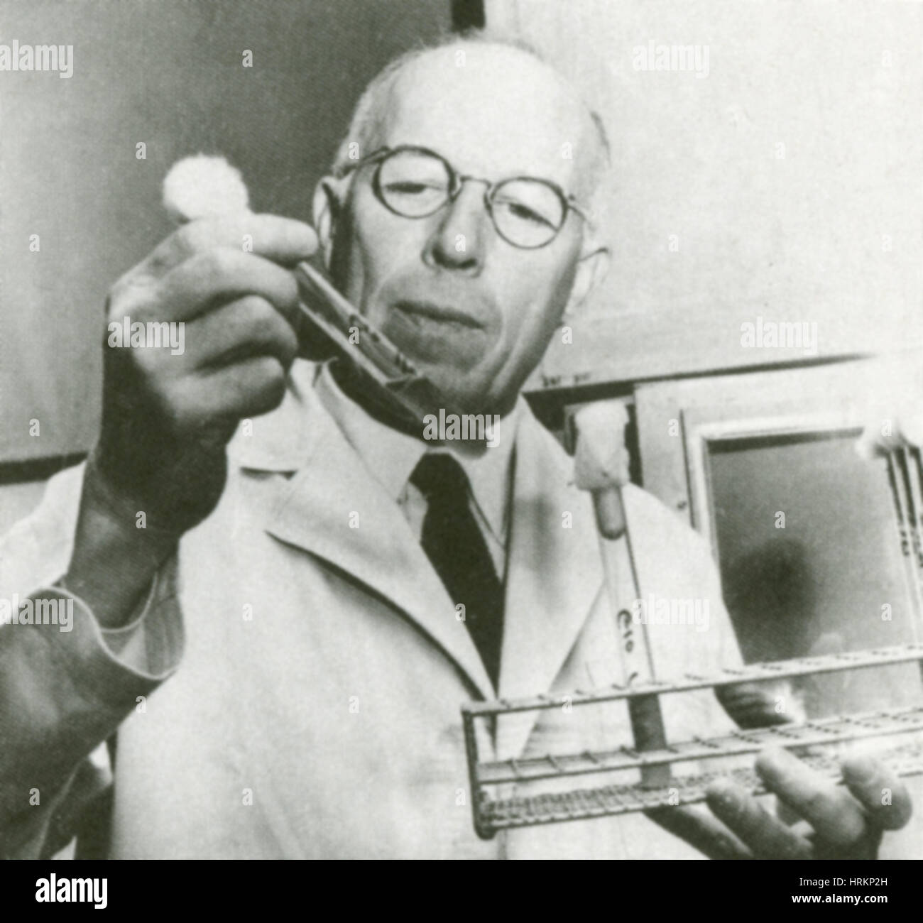 RenÌ© Dubos, French-American Microbiologist Stock Photo - Alamy