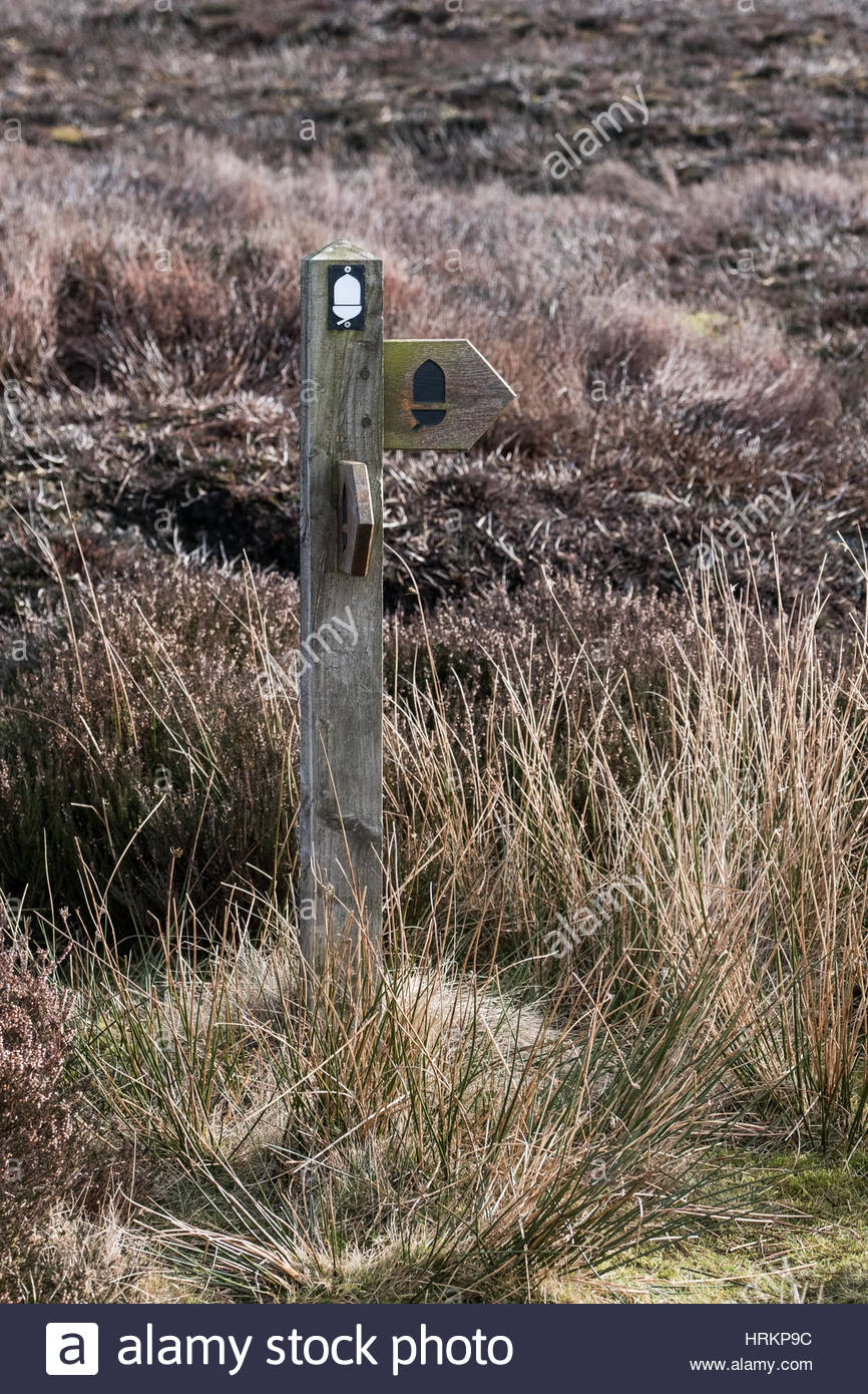 Acorn Symbol High Resolution Stock Photography and Images - Alamy