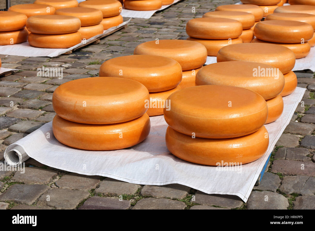 traditional merchant cheese market in Gouda/ Netherlands Stock Photo ...