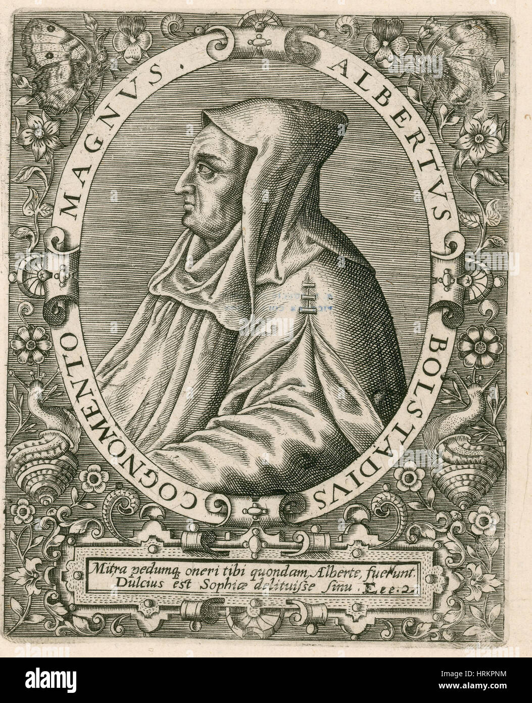 Albertus Magnus, Medieval Philosopher Stock Photo - Alamy