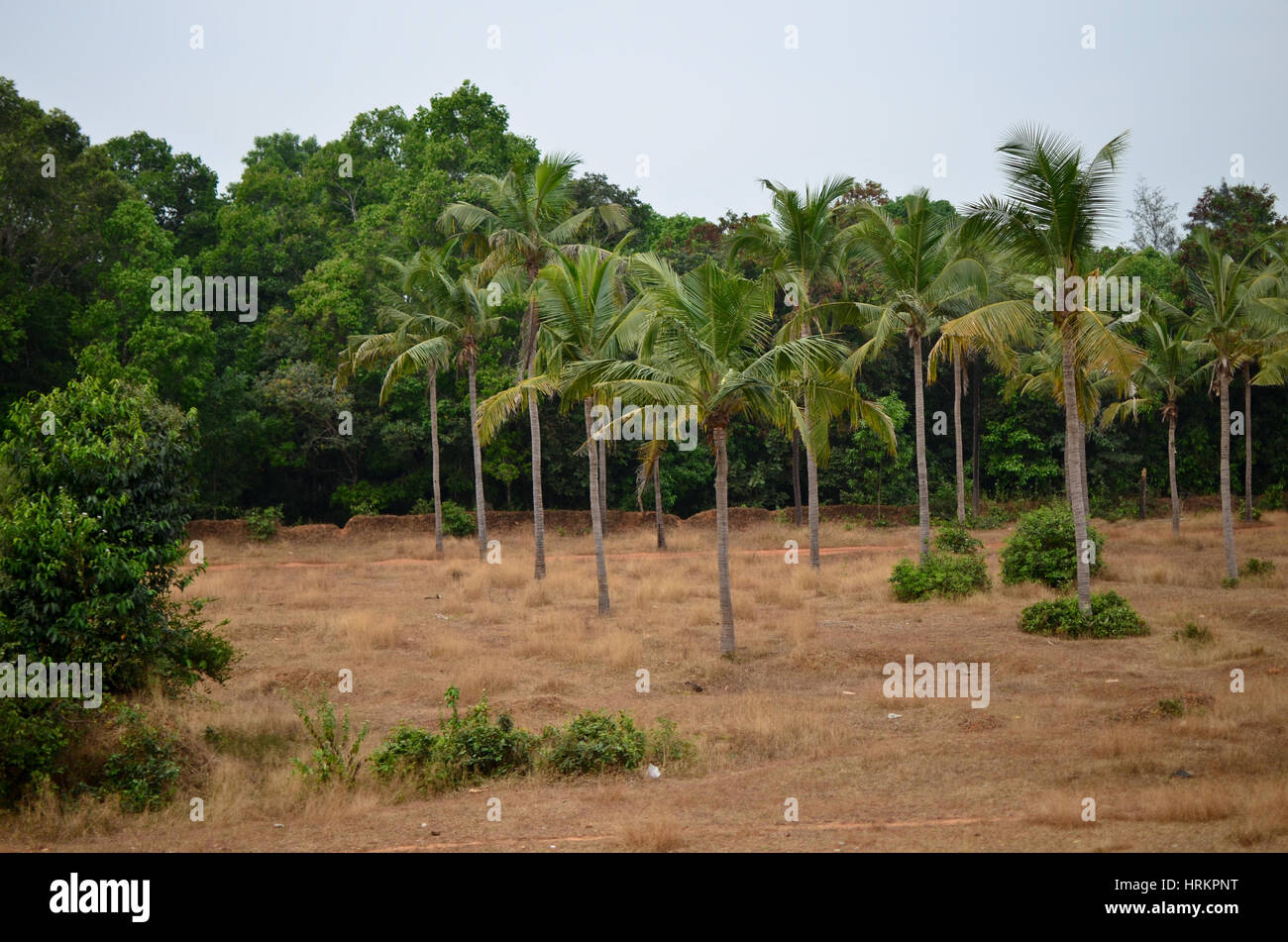 Beautiful landscape of rural India. Scene captured during travel by ...