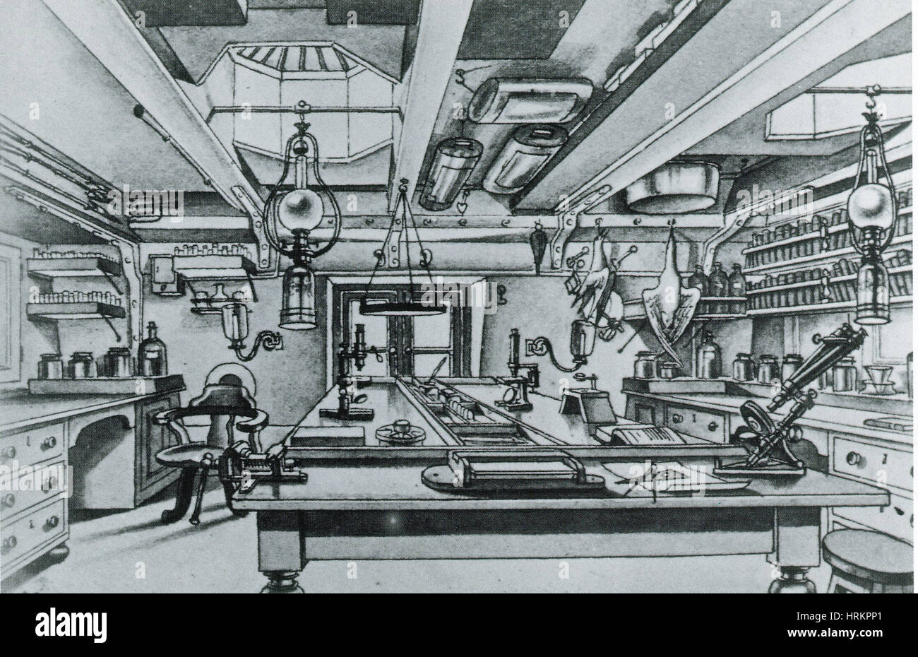 19th century science laboratory hi-res stock photography and images - Alamy