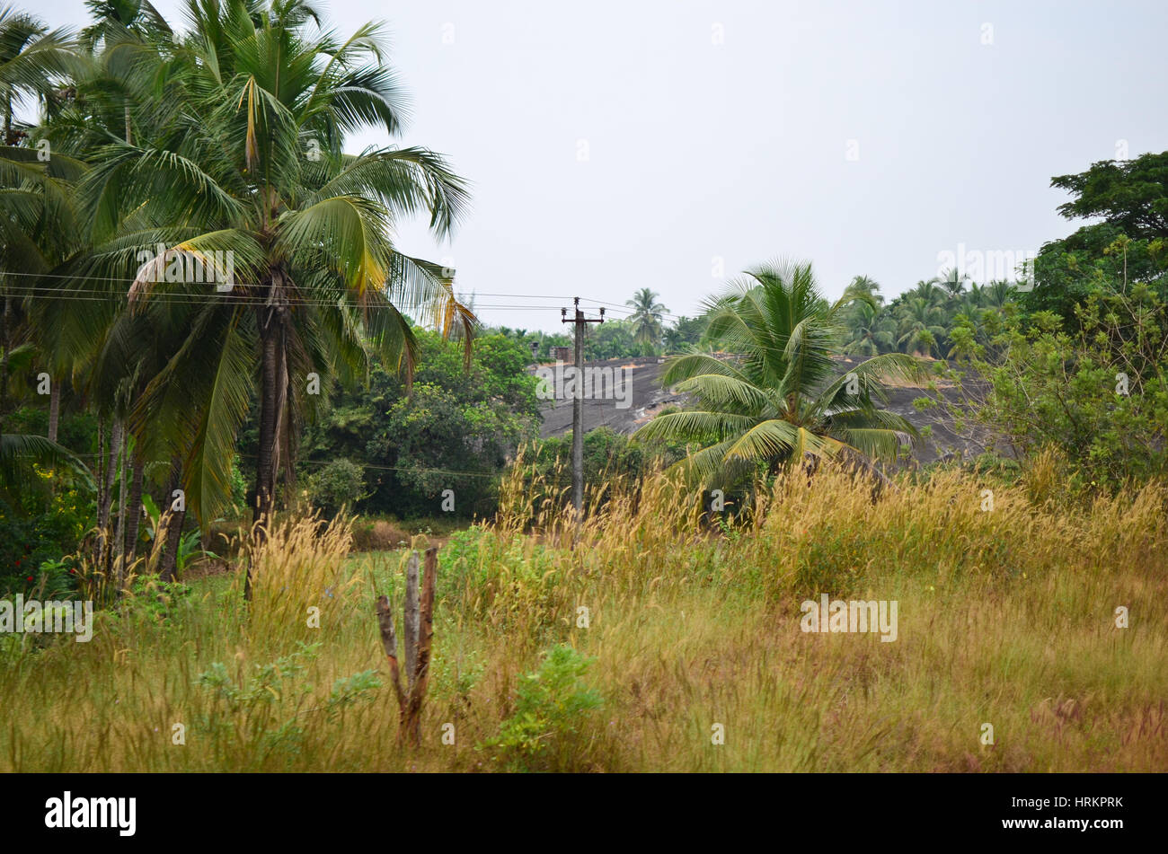 Beautiful landscape of rural India. Scene captured during travel by ...