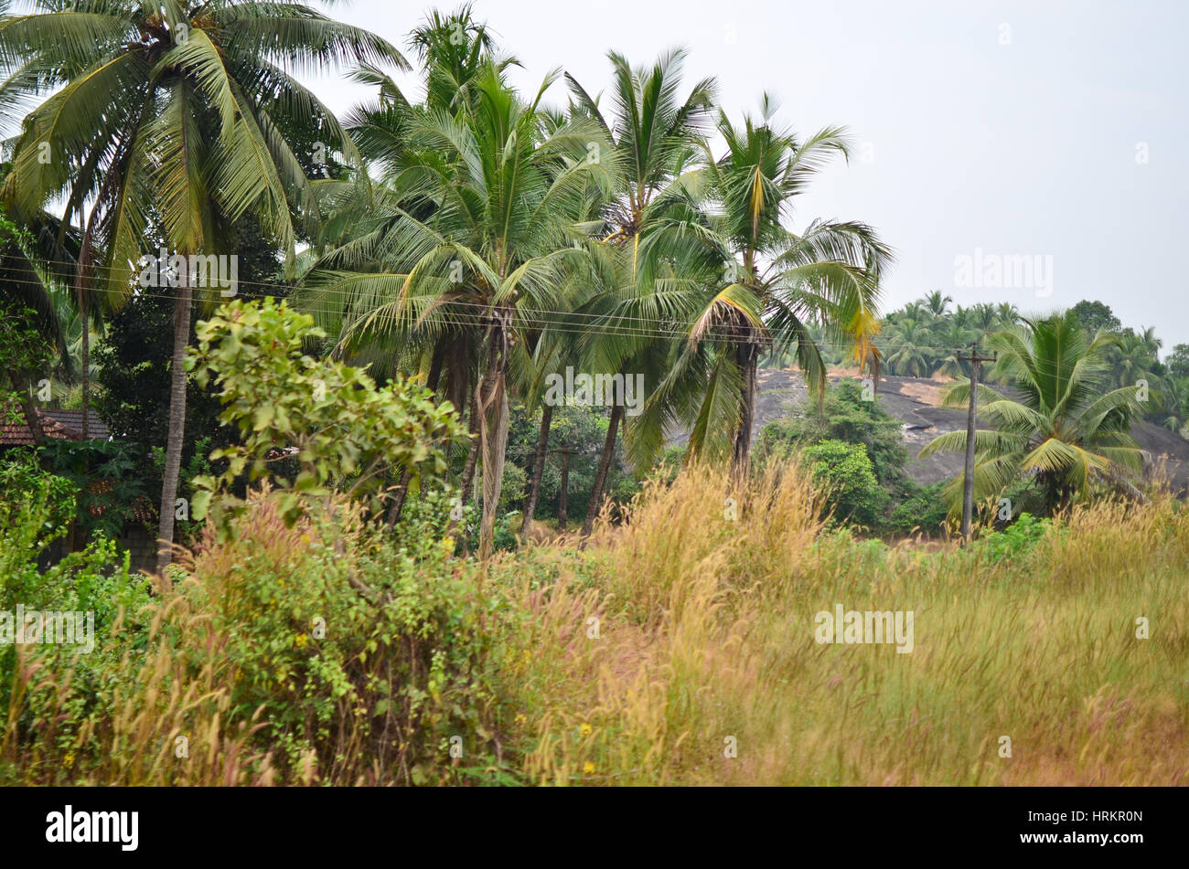 Beautiful landscape of rural India. Scene captured during travel by ...