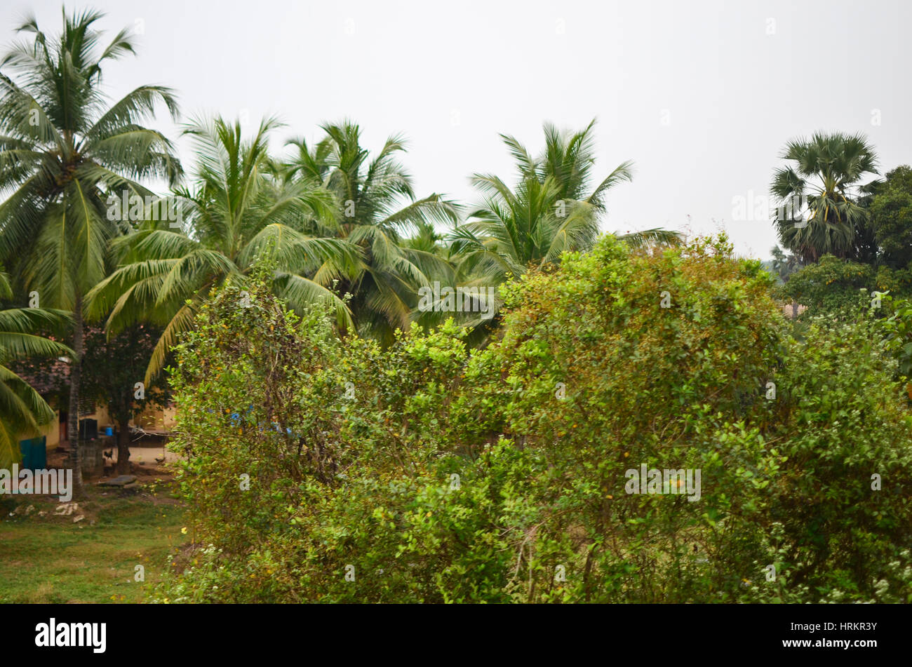 Beautiful landscape of rural India. Scene captured during travel by ...