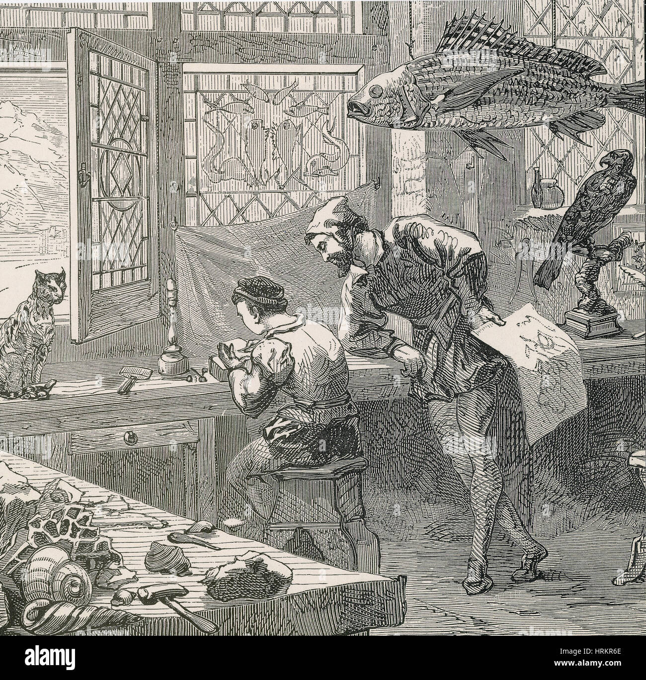 Conrad gesner 1516 1565 swiss naturalist hi-res stock photography and ...