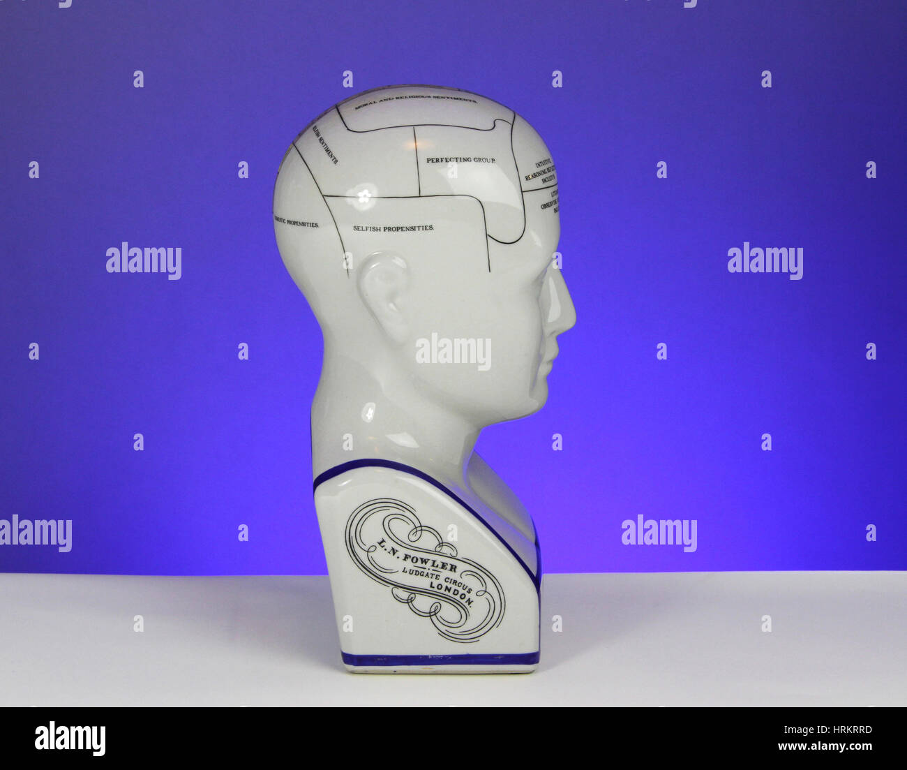 Phrenology diagram brain hi-res stock photography and images - Alamy