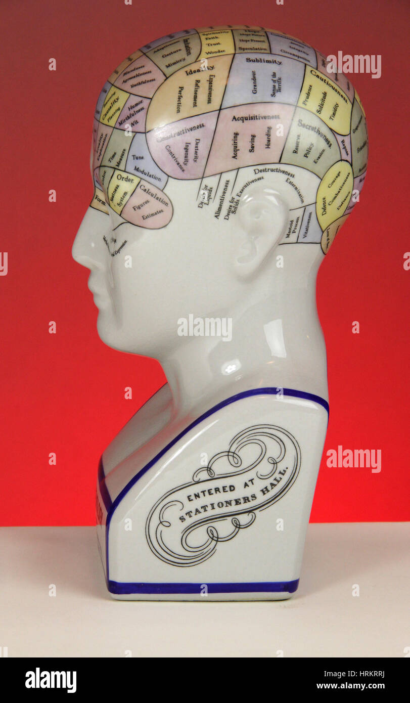 Phrenological diagram hi-res stock photography and images - Alamy
