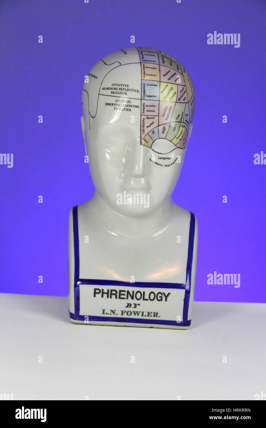 Phrenological diagram hi-res stock photography and images - Alamy