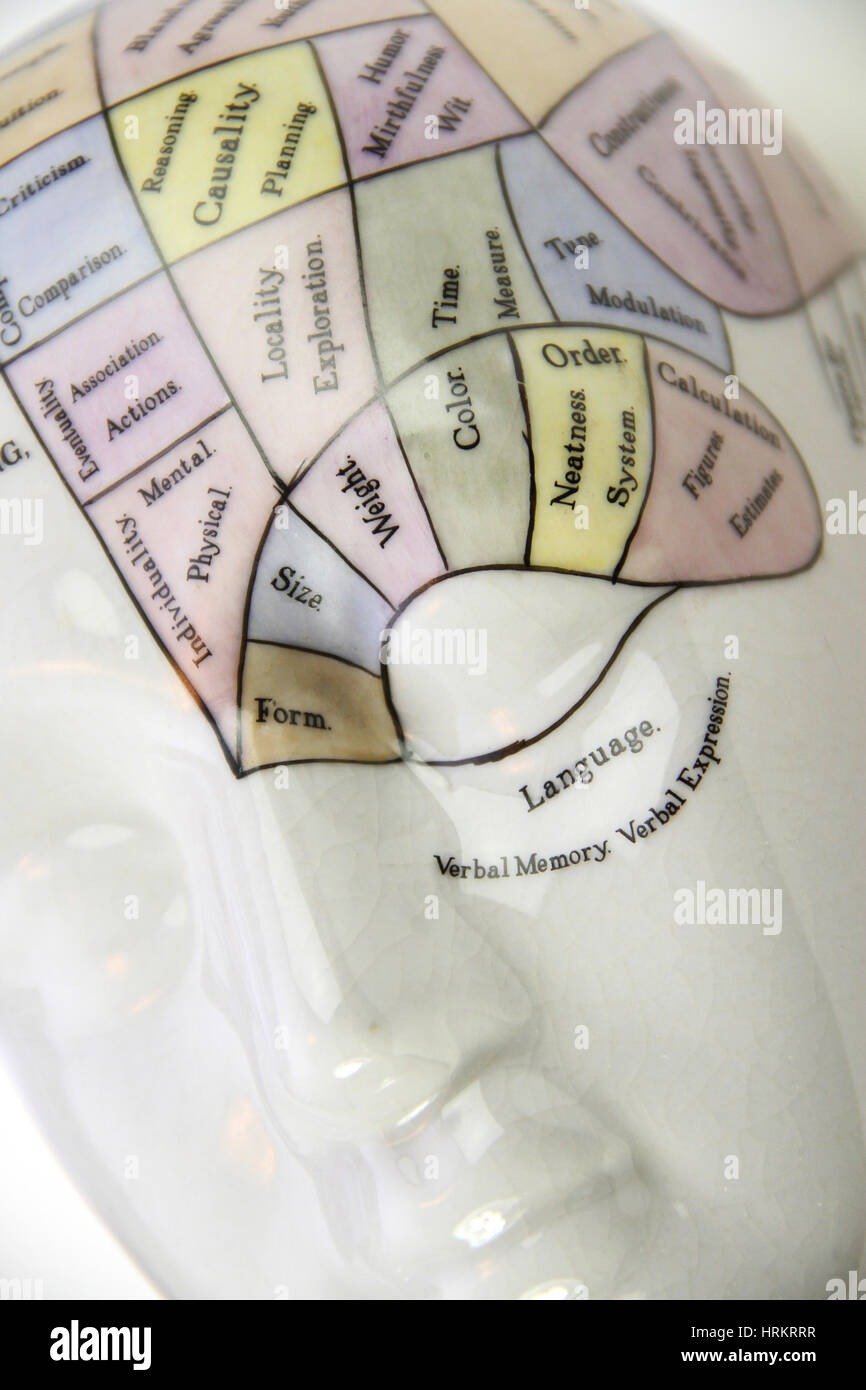 Phrenological memory hi-res stock photography and images - Alamy