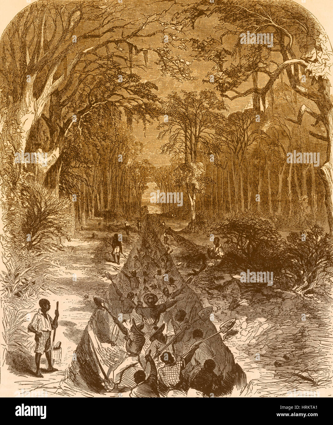 Grant's Canal, 1862 Stock Photo - Alamy