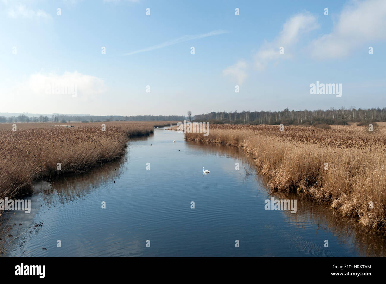 Federsee, a lake in the region of Upper Swabia, Southern Germany Stock ...