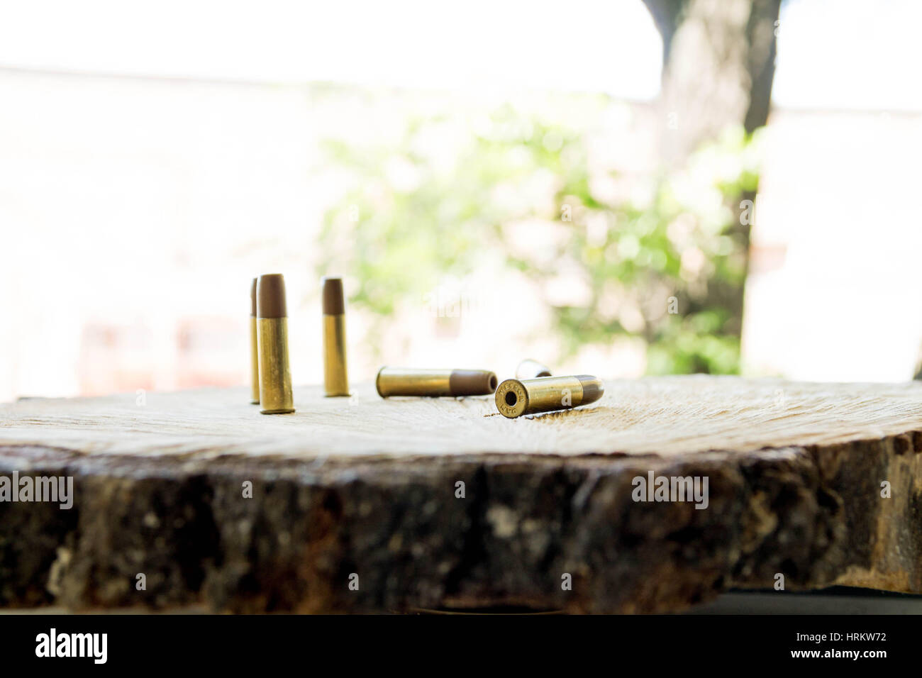 Pneumatic gun sports hunting hi-res stock photography and images - Alamy